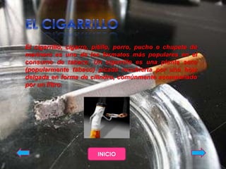 las causas del cigarrillo | PPSX