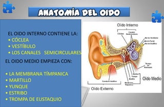 Semiologia auditiva | PPTX