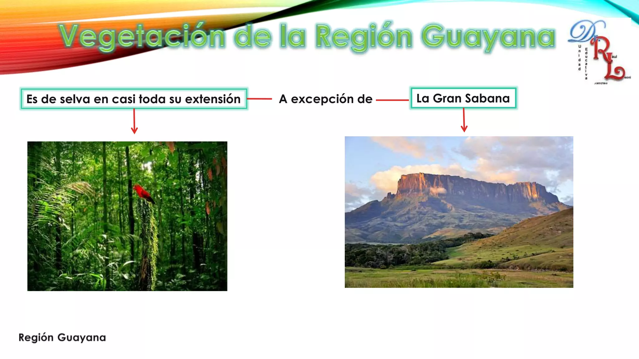 Region Guayana | PPT