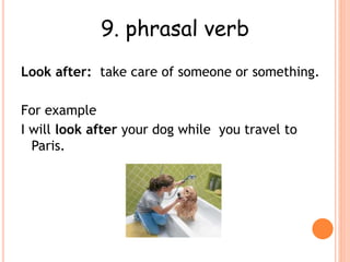 English b1+ | PPTX