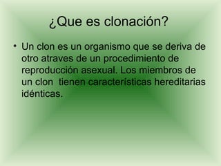 Presentación1 clonacion | PPT