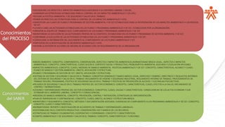 Ambiental y de SST.pptx