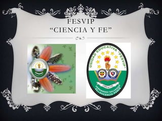 johao fernandez 10 "c" fesvip´ | PPT