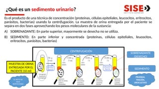 Muestra biologicas de orina en pacientes | PPTX