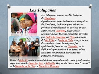 Cultura etnica tolupan | PPTX