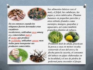 Cultura etnica tolupan | PPTX