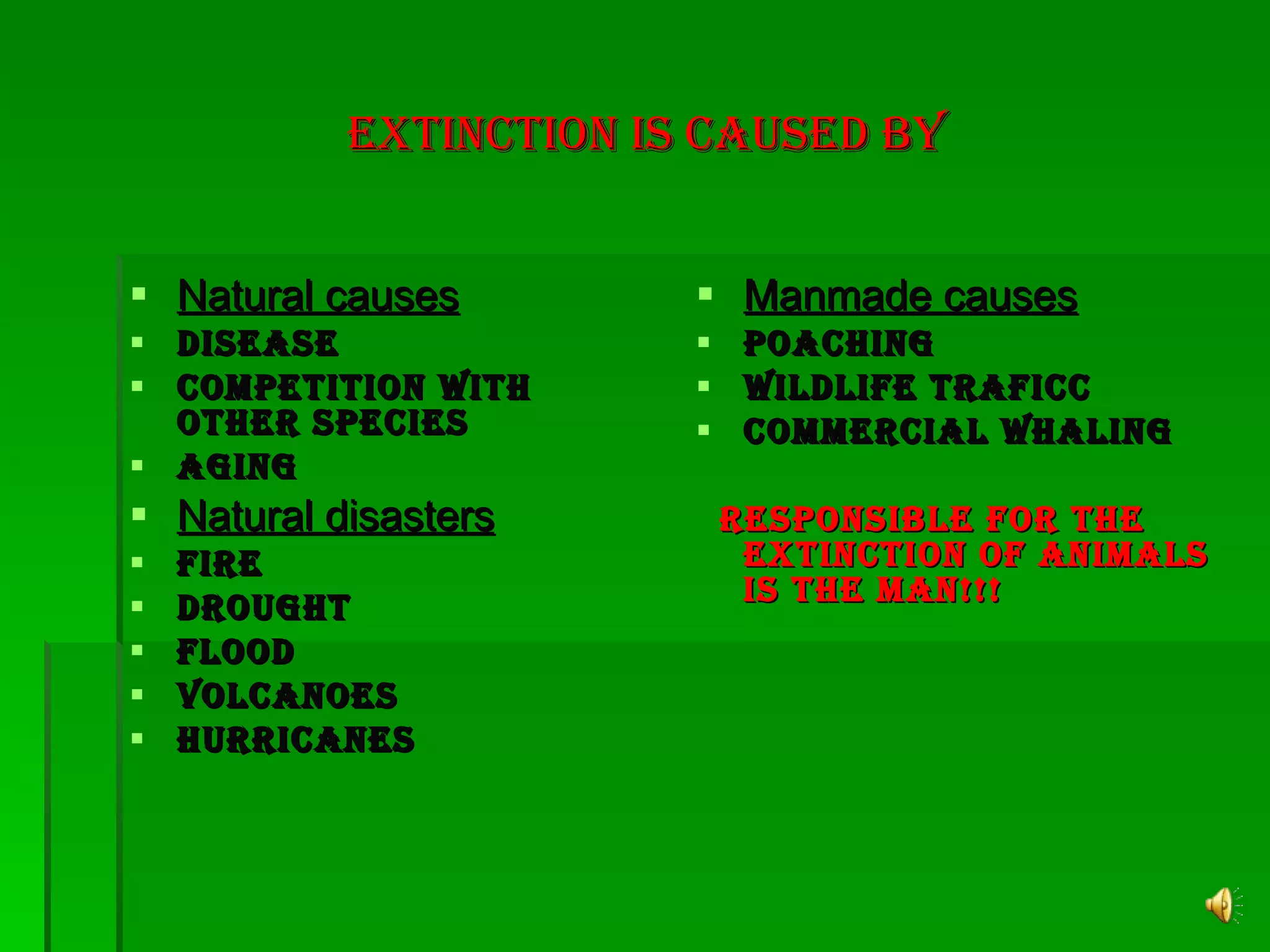 Animals in Danger | PPT