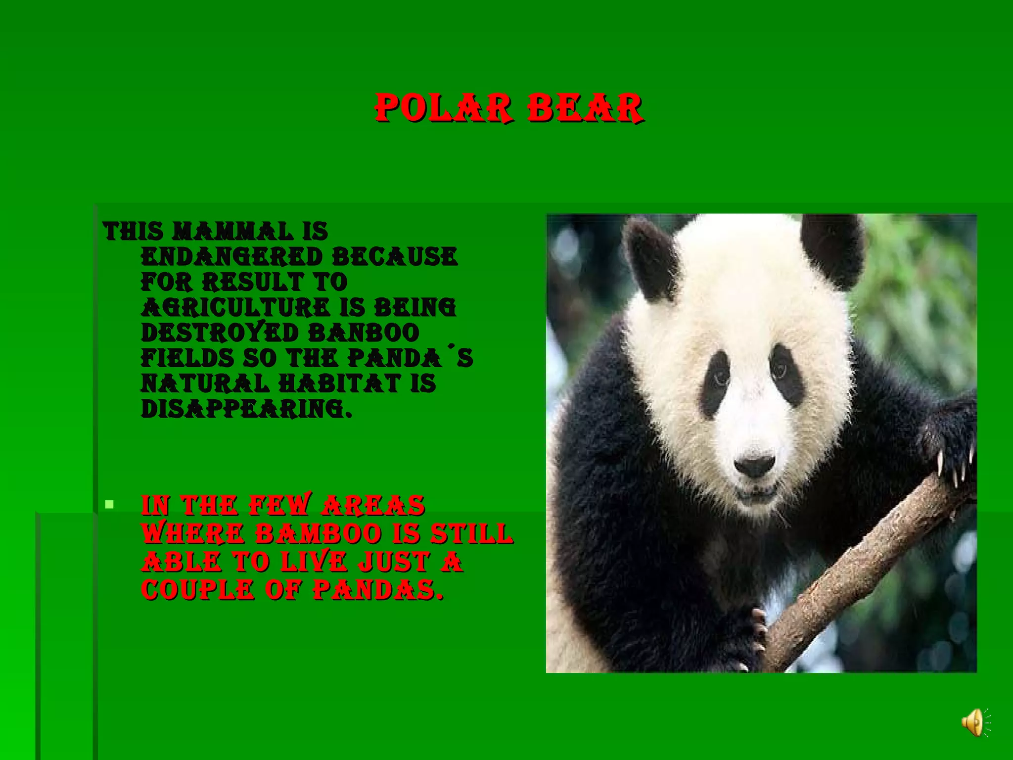 Animals in Danger | PPT