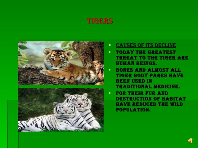 Animals in Danger | PPT | Zoos & Aquariums | Attractions