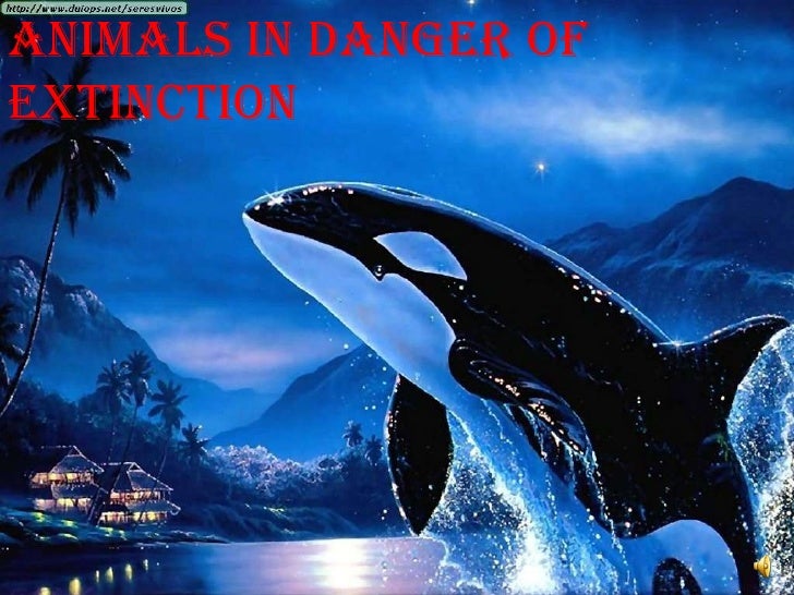 Animals in Danger