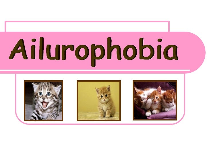 Ailurophobia