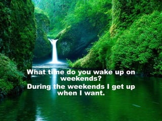 Presentación2 | PPT