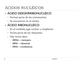 PresentaciónRepaso de Biología Celular IP | PDF | Chemistry | Science
