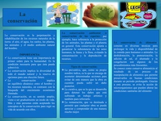 conservación ambiental | PPTX