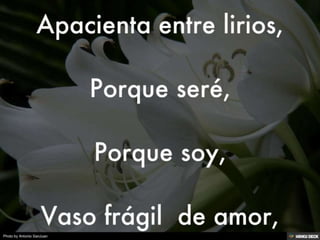 VASO FRÁGIL | PPTX