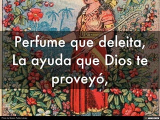VASO FRÁGIL | PPTX