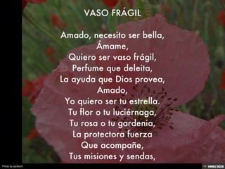 VASO FRÁGIL | PPTX