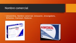 Presentación (2).pdf