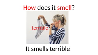 The use of human senses look tastes feels smells and sounds | PPT