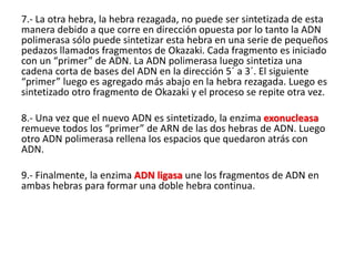 Presentación 2 -Dogma Central de la Biología..pptx