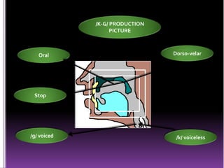 PHONEMIC AND PHONETIC CONSONANT CONTRAST BY EVELYN SIMBAÑA | PPTX