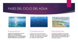 CICLO DEL AGUA | PPTX