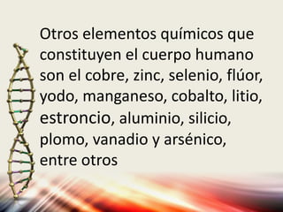 Elementos químicos del cuerpo humano. | PPT