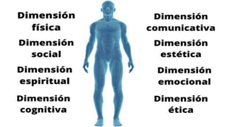 Dimensiones del ser humano | PDF