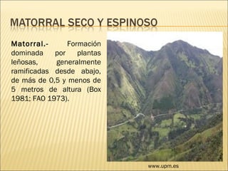 ECOSISTEMAS SECOS INTERANDINOS: PRESERVACIÓN Y POTENCIALIDADES | PPT