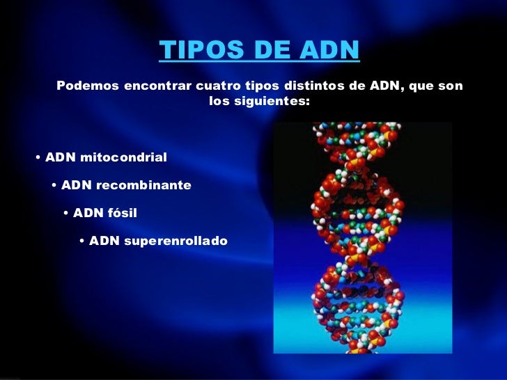 Blog Ciencias Naturales: ADN