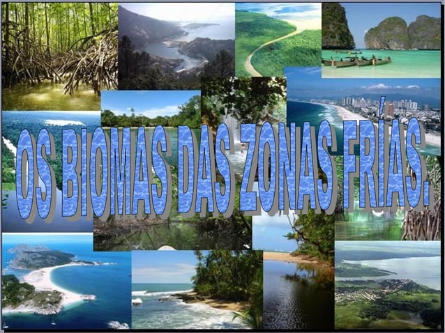 Os biomas fríos. | PPT