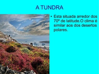 Os biomas fríos. | PPT