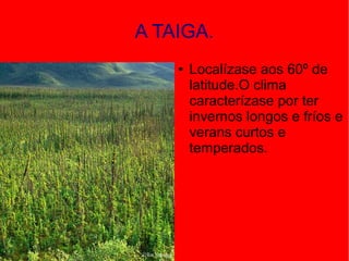 Os biomas fríos. | PPT