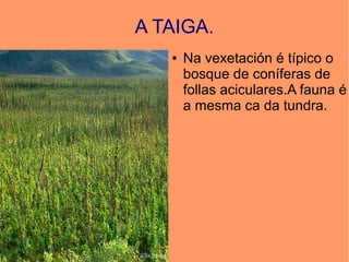 Os biomas fríos. | PPT