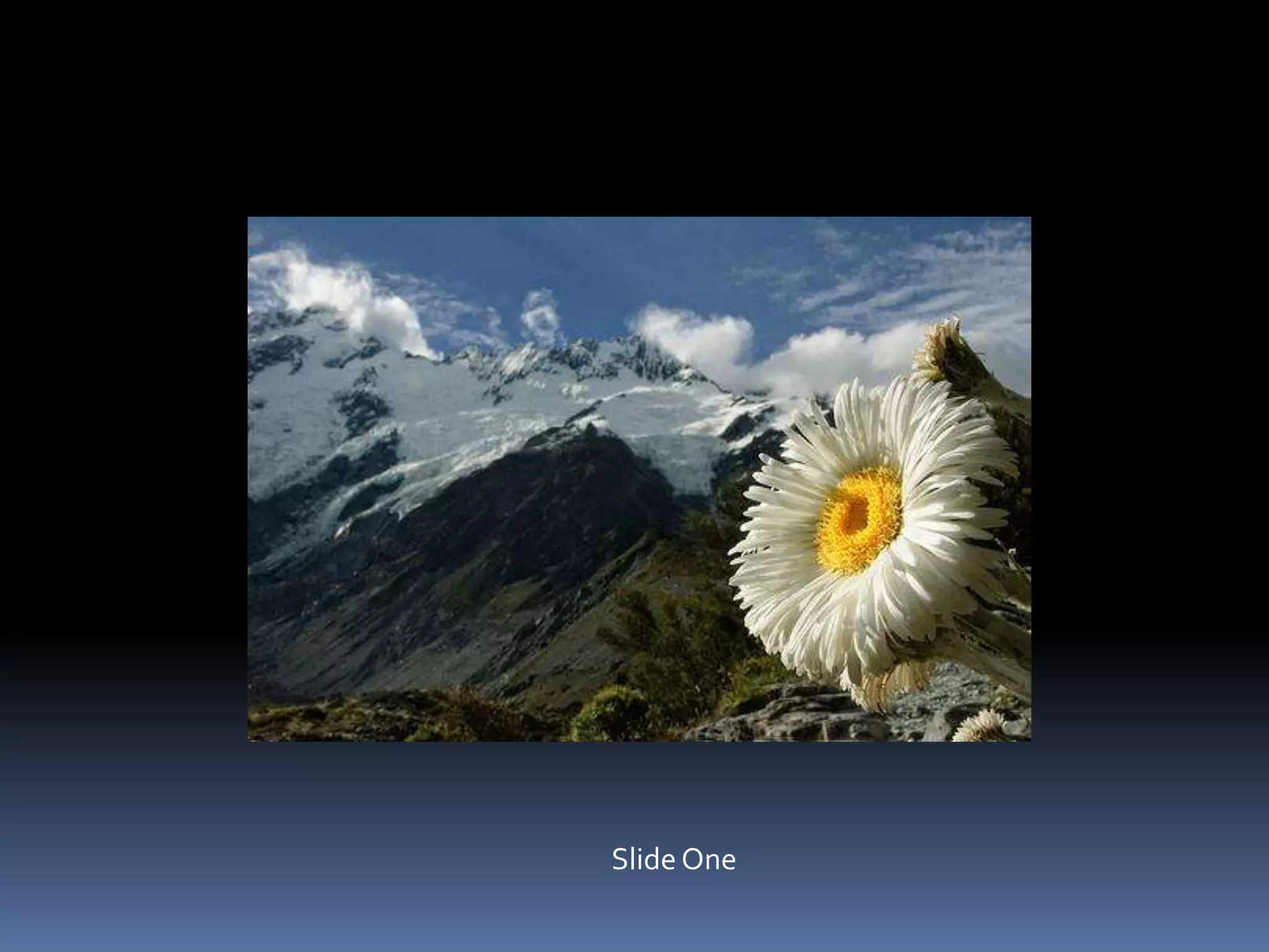 Describing Nature | PPTX