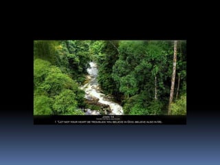 Describing Nature | PPTX