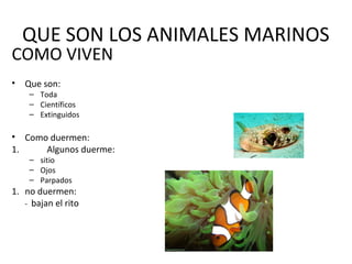 Presentación animales marinos | PPT
