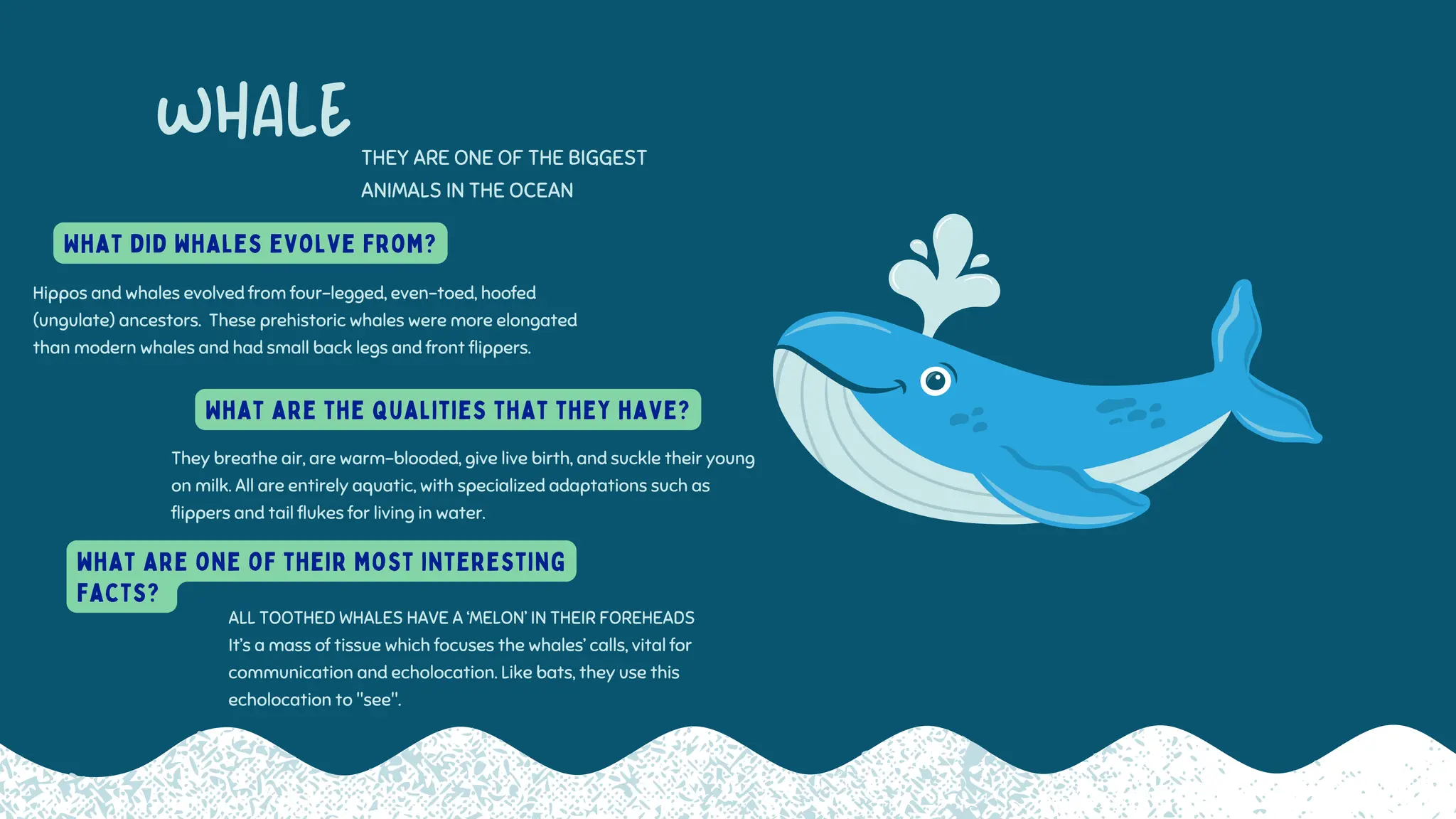 Presentación animales marinos ilustrada azul _20231122_090918_0000.pdf