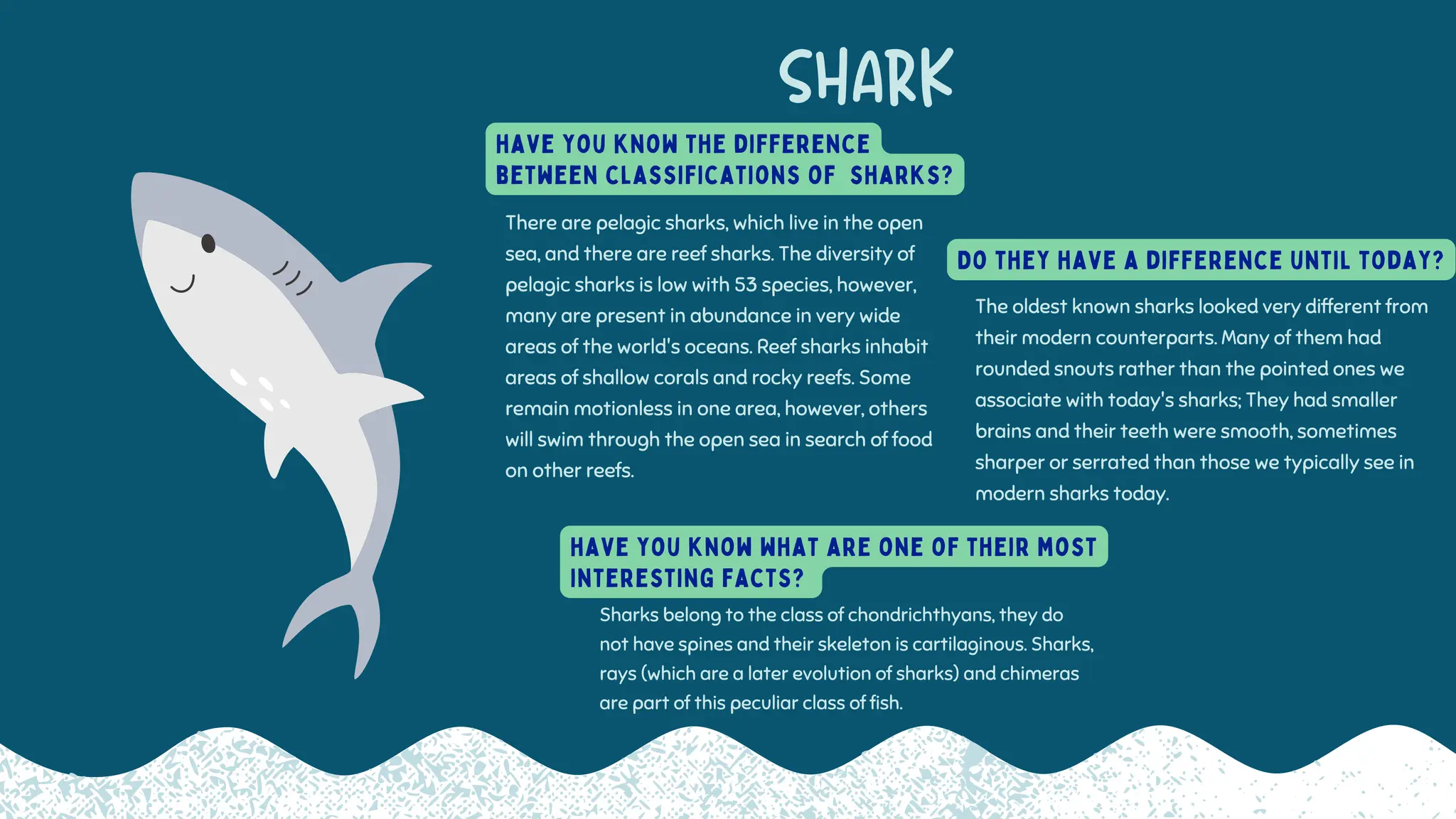 Presentación animales marinos ilustrada azul _20231122_090918_0000.pdf