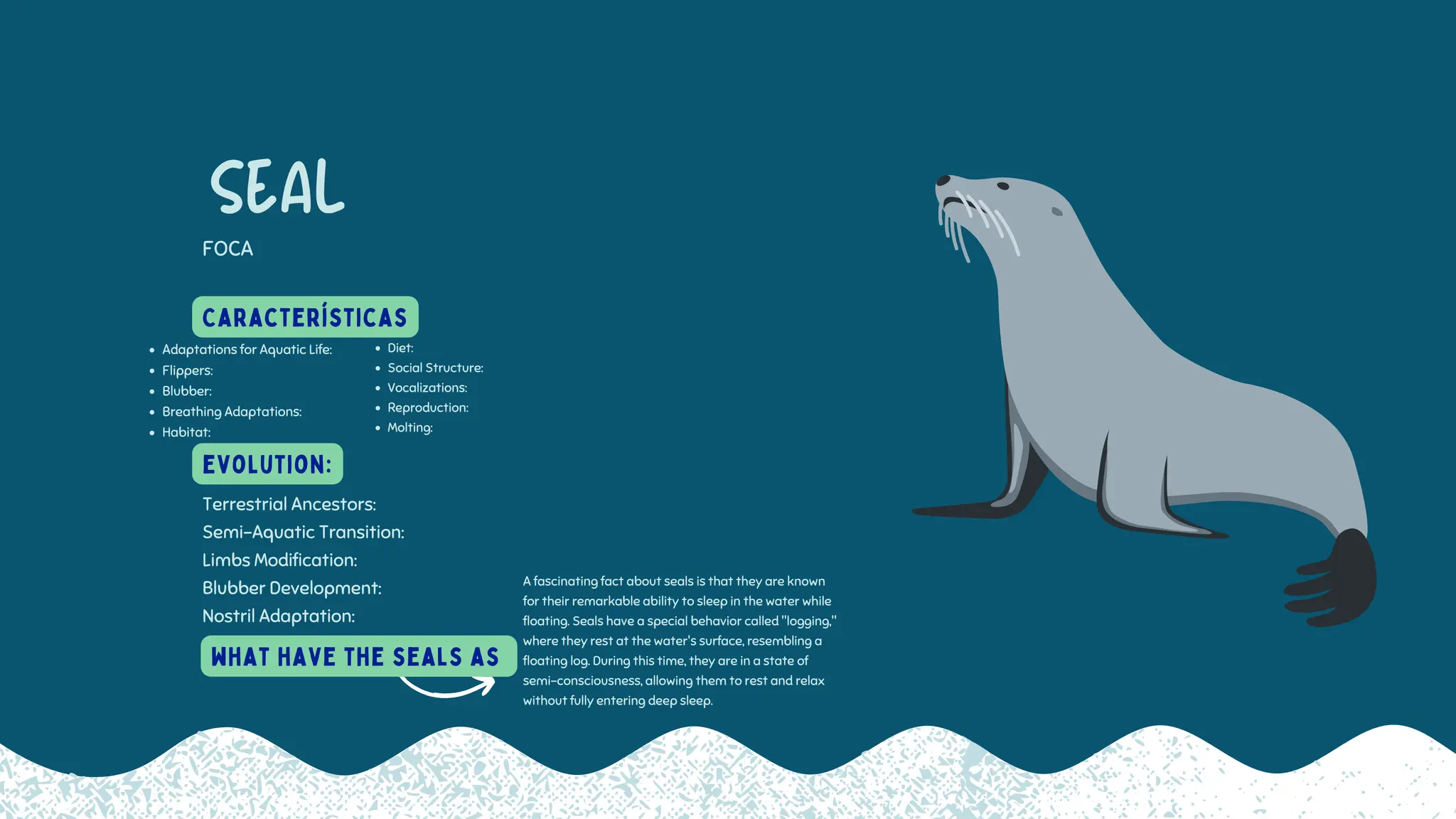 Presentación animales marinos ilustrada azul _20231122_090918_0000.pdf