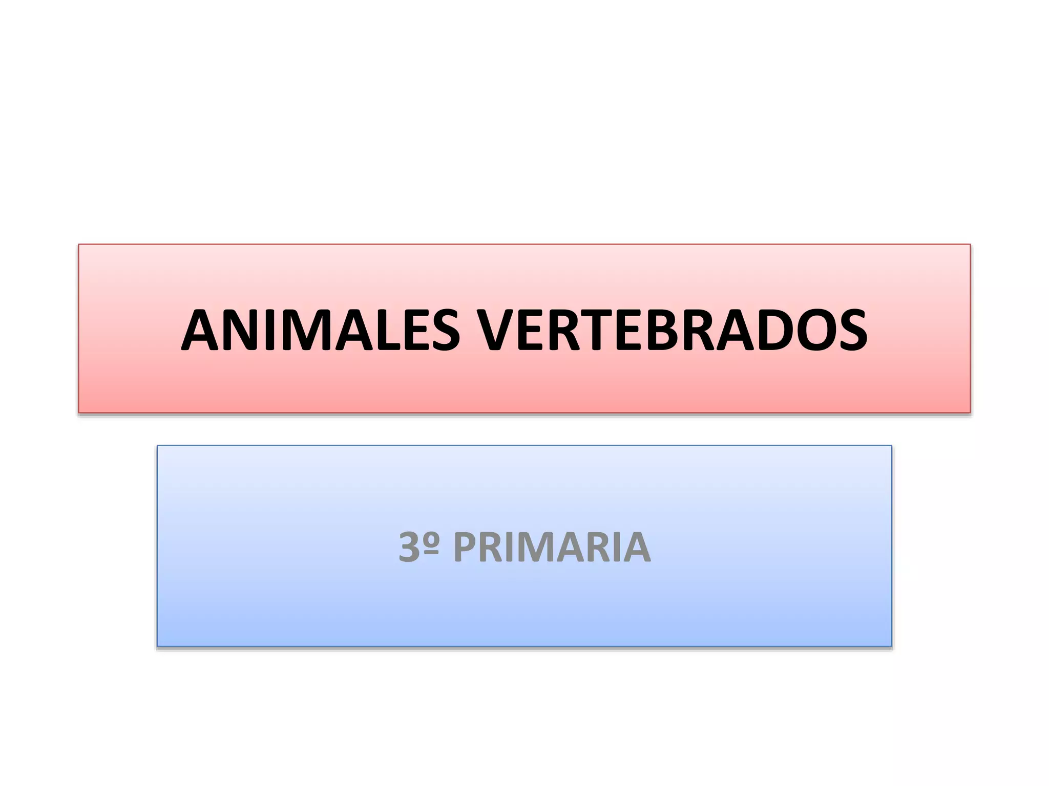 Presentación animales vertebrados. | PPTX