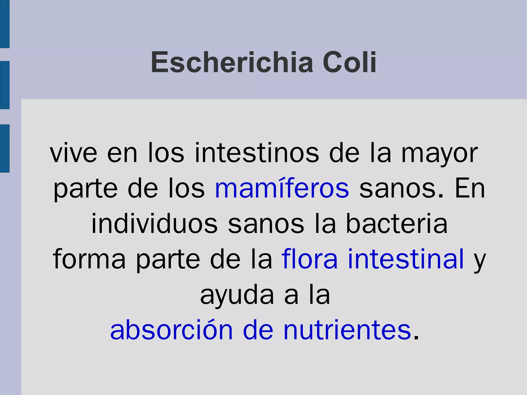 Presentación De Las Bacterias | ODP