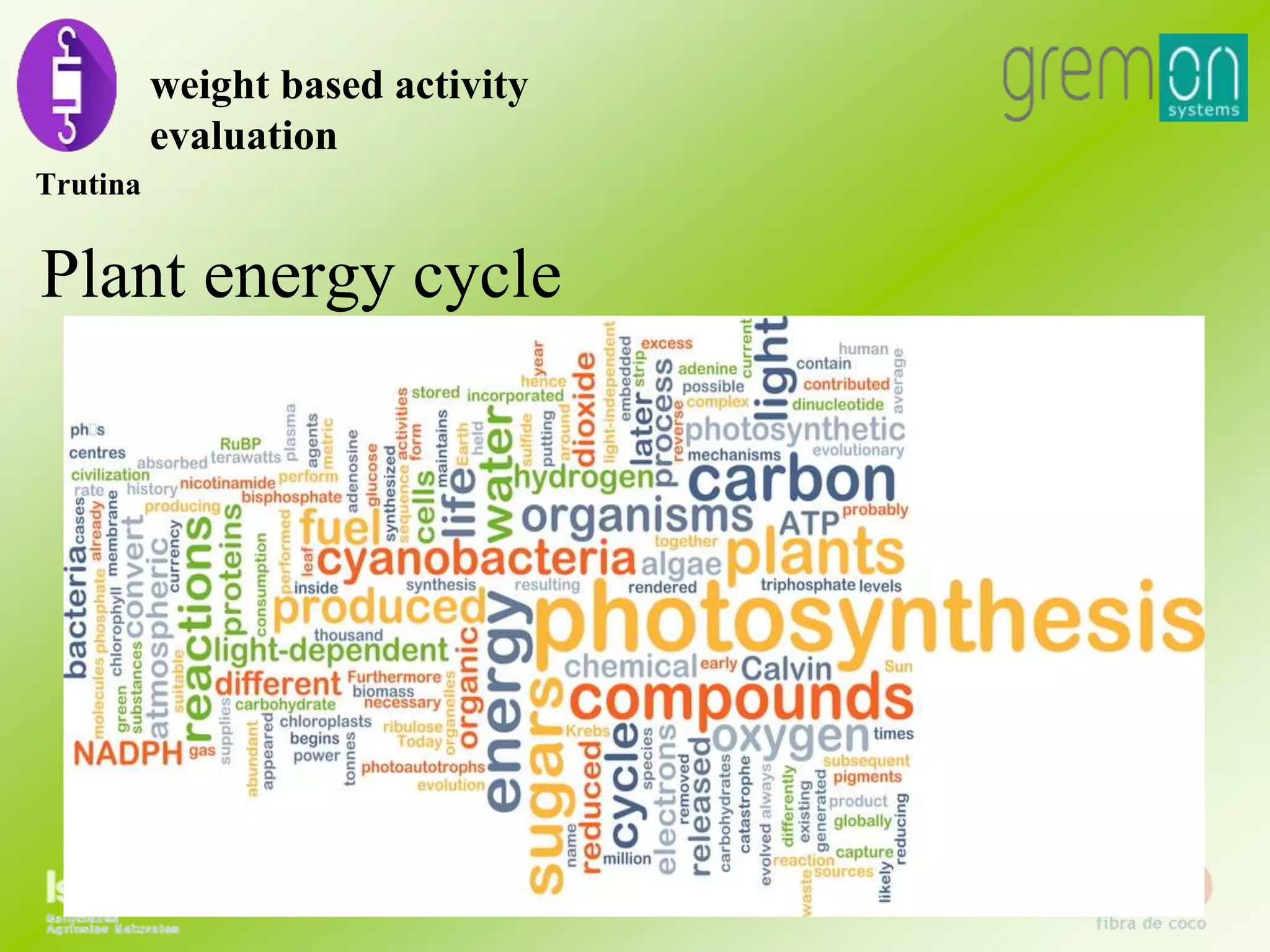 Plant Energy Model. How to measure biomass? Ispemar | PPT