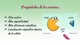 Catalisis de proteinas | PPTX