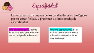 Catalisis de proteinas | PPTX