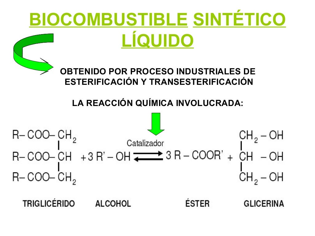 Presentación biodiesel