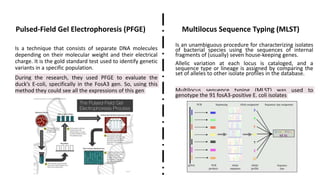 Presentación Biologia Molecular.pptx