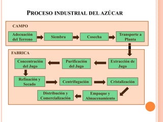 Proceso Industrial Caña de Azucar en Colombia | PPTX