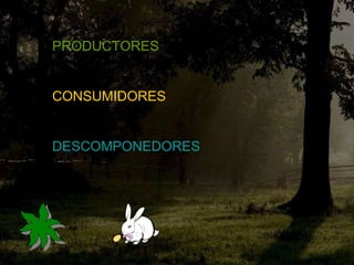 PresentacióN Cadenas Alimenticias | PPT