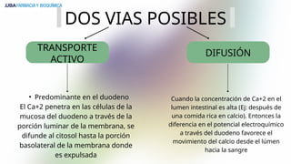Presentación Calcio y su rol biologico.pptx